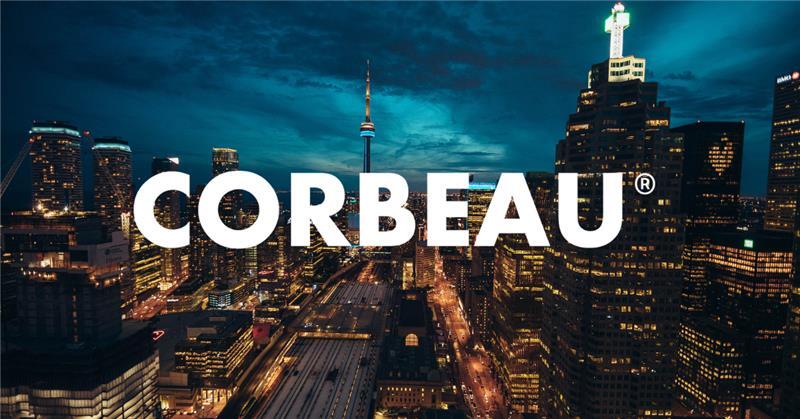 Meet the Corbeau Tech Team | Project Leaders Who Deliver