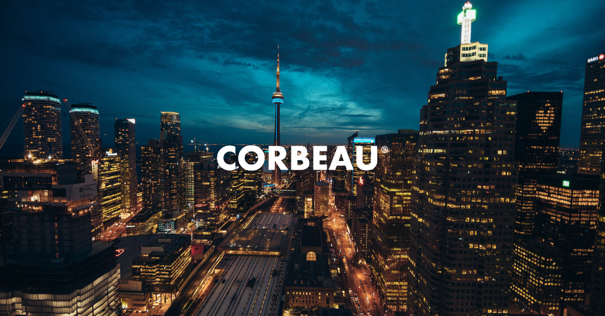 Meet the Corbeau Tech Team | Project Leaders Who Deliver